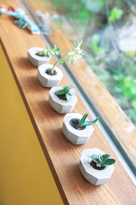 Thermoformen mit der Mayku Formbox - DIM3NSIONS